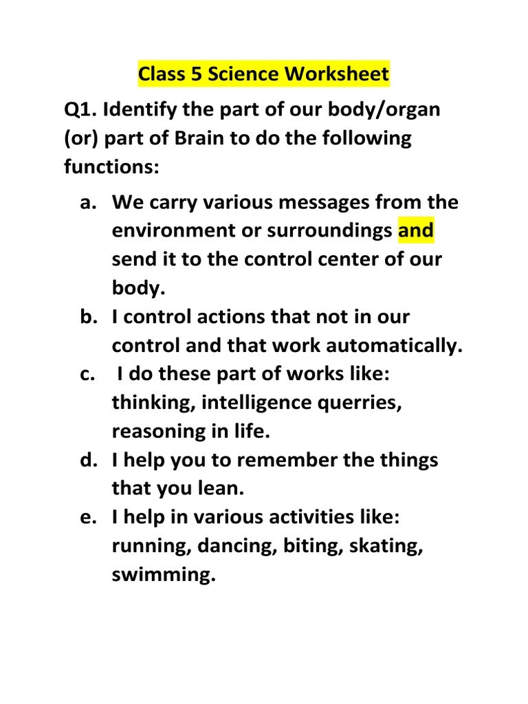 Understanding the Skeletal and Muscular Systems: A Class 5 Science Worksheet | PDF | Skeleton ...