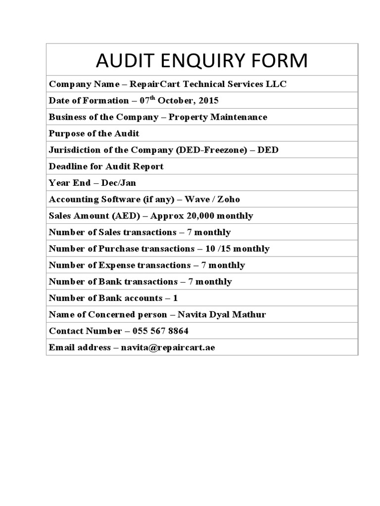 Audit Enquiry Form | PDF