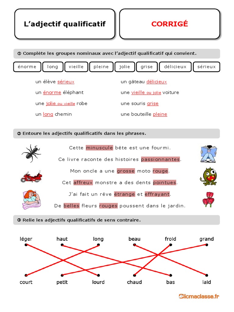 Exercices sur les adjectifs qualificatifs | PDF