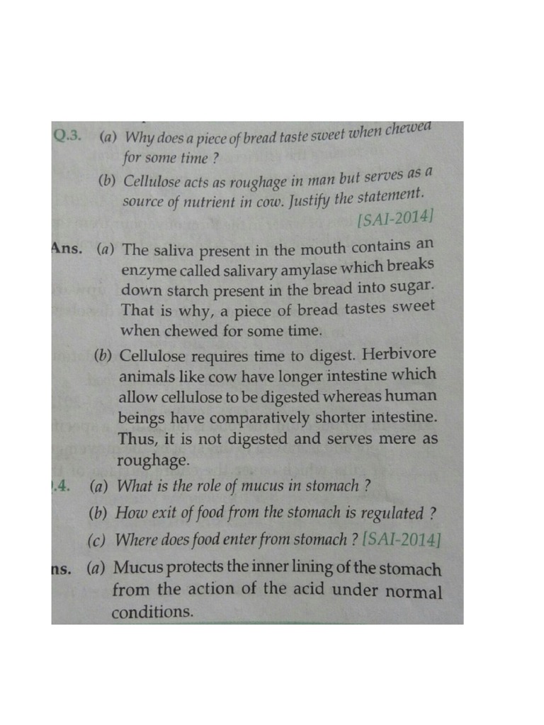 Nutrition in Human Board Qns | PDF