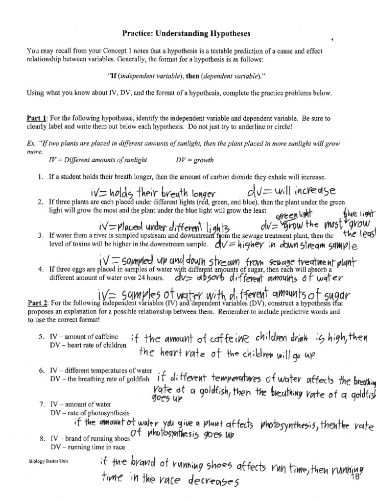 Understanding Hypotheses | PDF