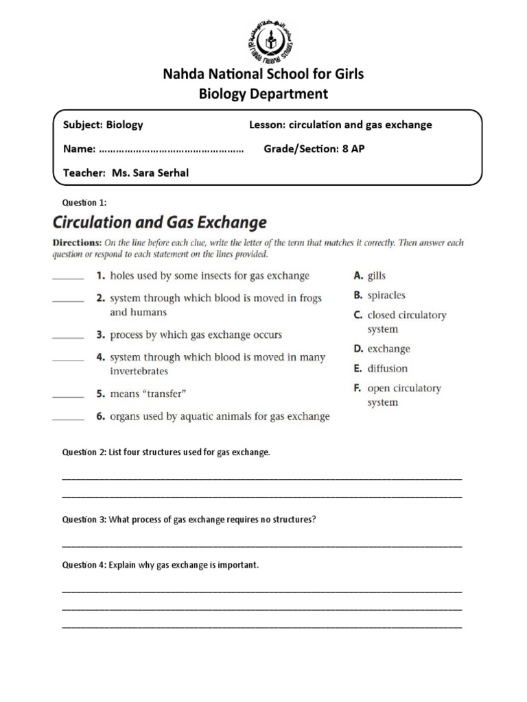 Worksheet 1 Lesson 2 Gas Exchange and Circulation | PDF