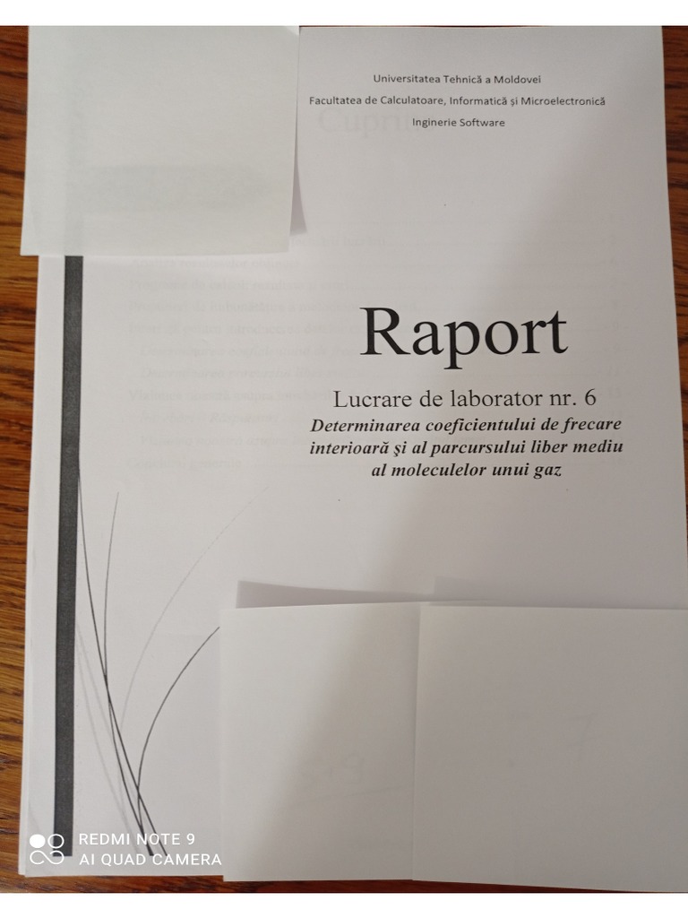 Exemplu de Raport | PDF