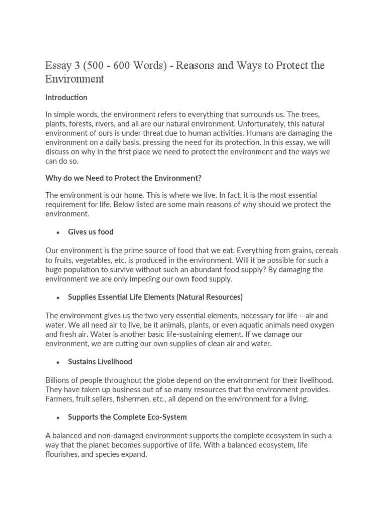 Essay 3 (500 - 600 Words) - Reasons and Ways To Protect The Environment | PDF