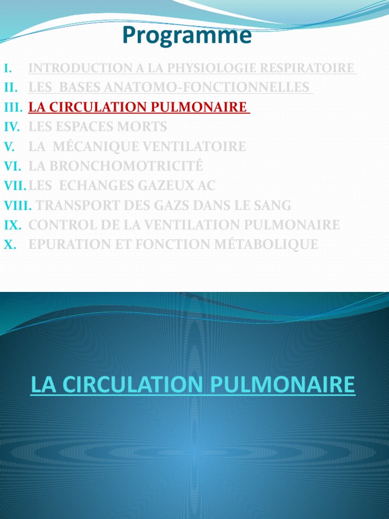 Circulation pulmonaire et bronchique | PDF | Poumon | Vaisseau sanguin