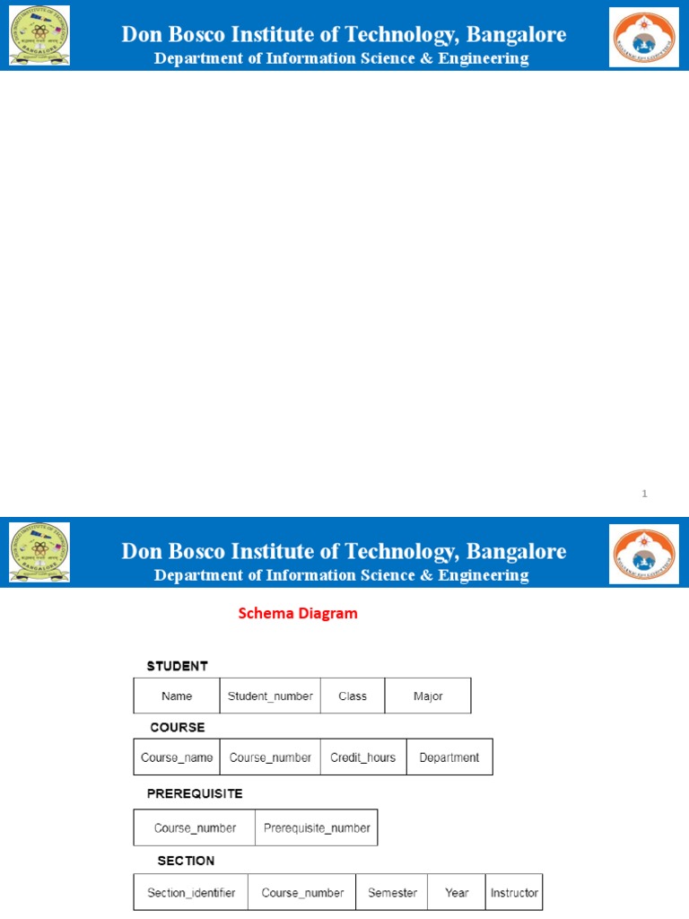 DBMS | PDF | Information Technology | Information Age