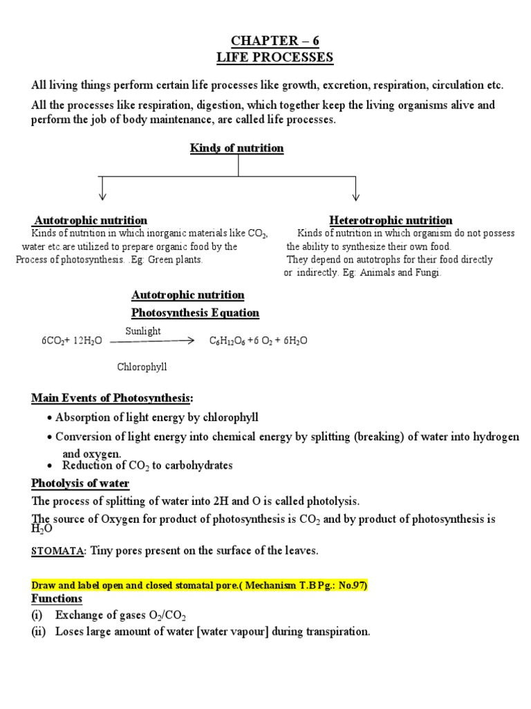 Biology Notes - CH - 5 Life Processes1 | PDF | Heart | Atrium (Heart)