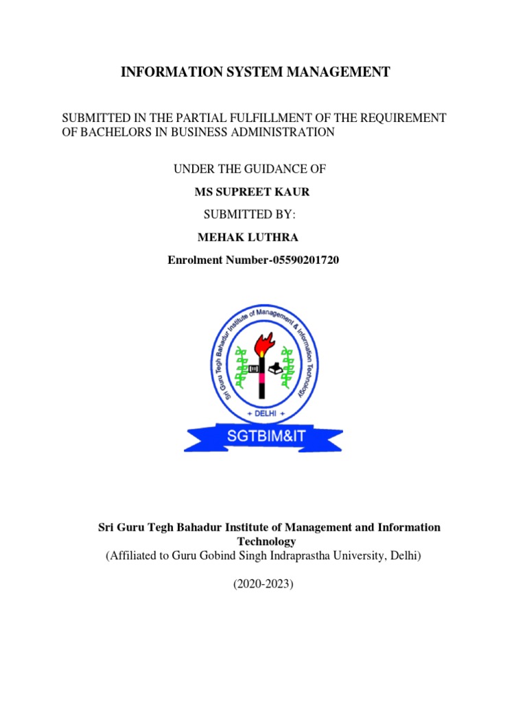 Mehak's Ism Assignment | Download Free PDF | Data Model | Data Management