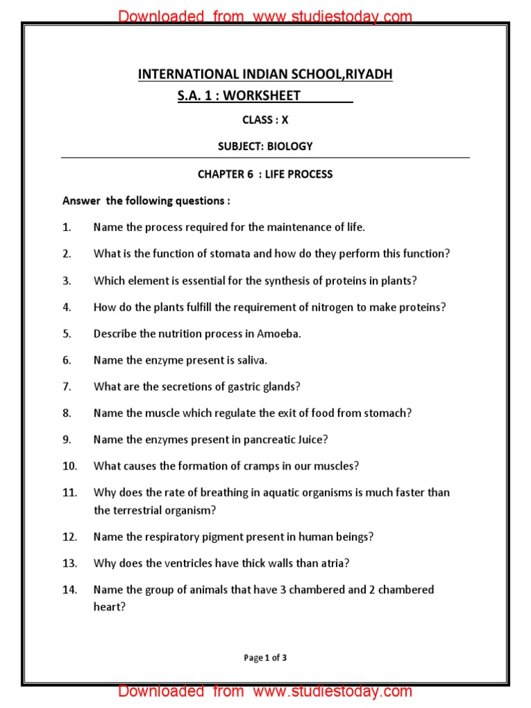 CBSE Class 10 Science | PDF | Hormone | Stomach