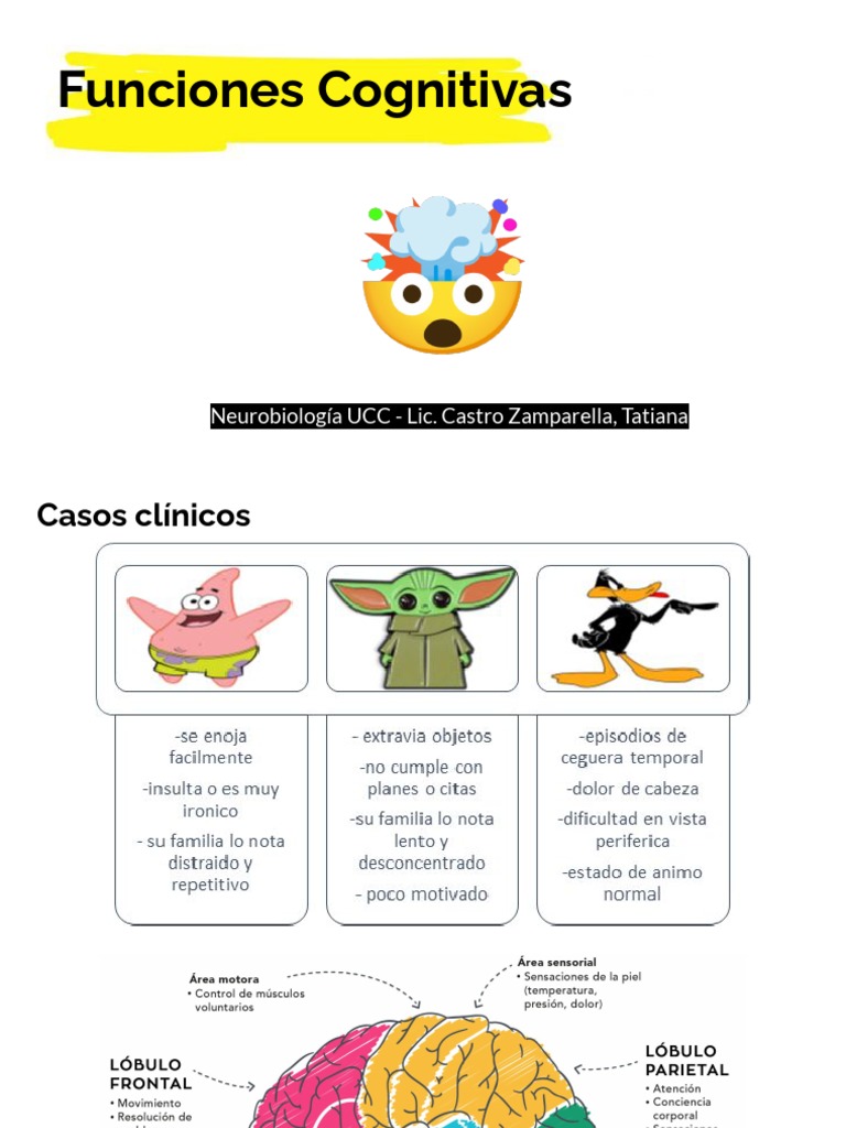 Funciones Cognitivas Ucc | PDF | Neuropsicología | Sicología