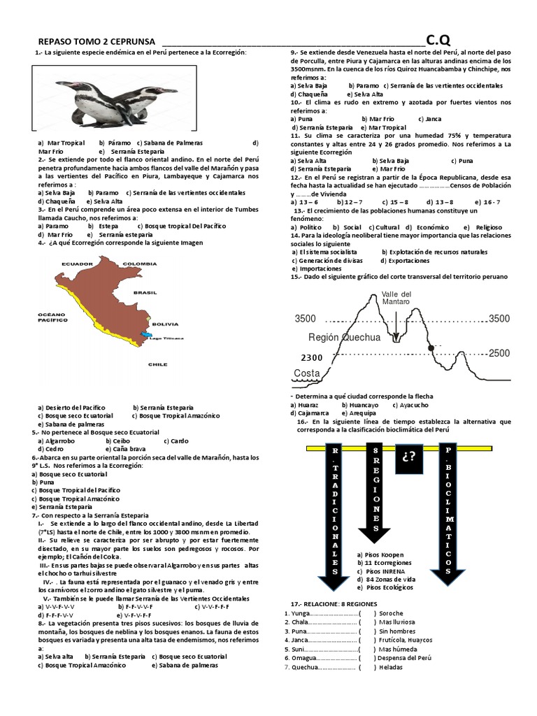 Practica Integral Faraday | PDF | Perú | Geografía
