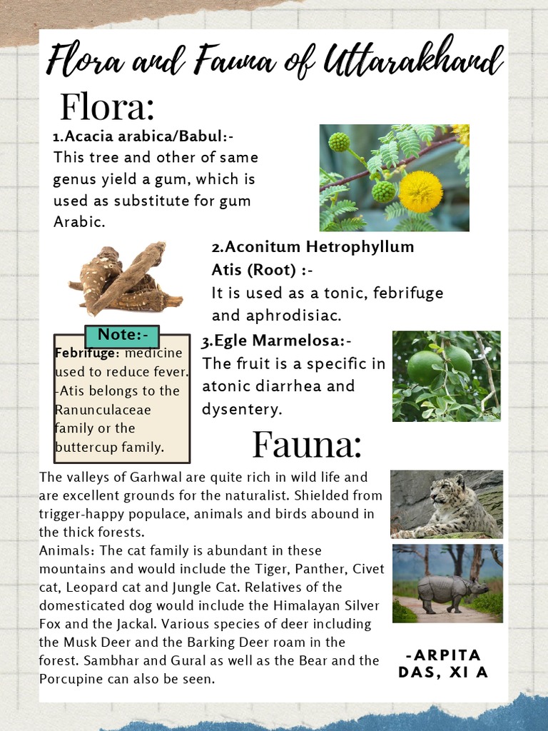 Flora and Fauna of Uttarakhand | PDF