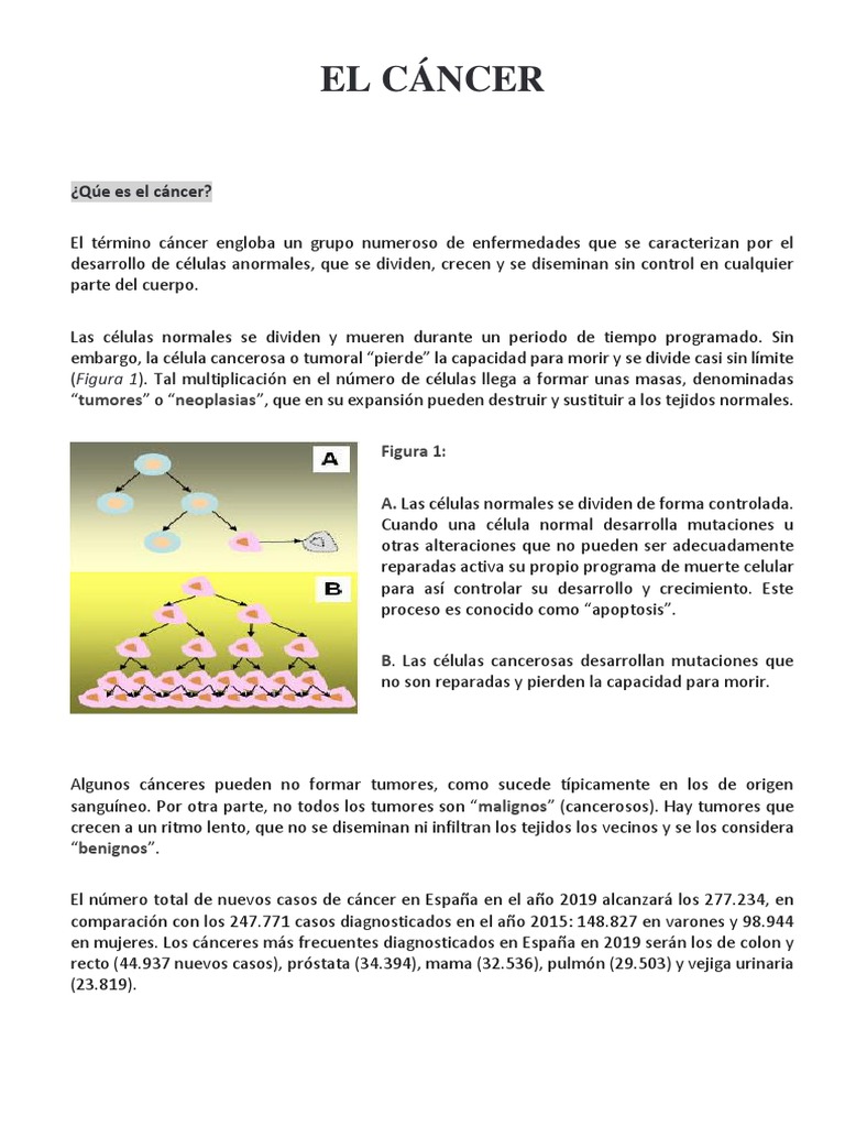 El Cáncer | PDF | Cáncer | Metástasis