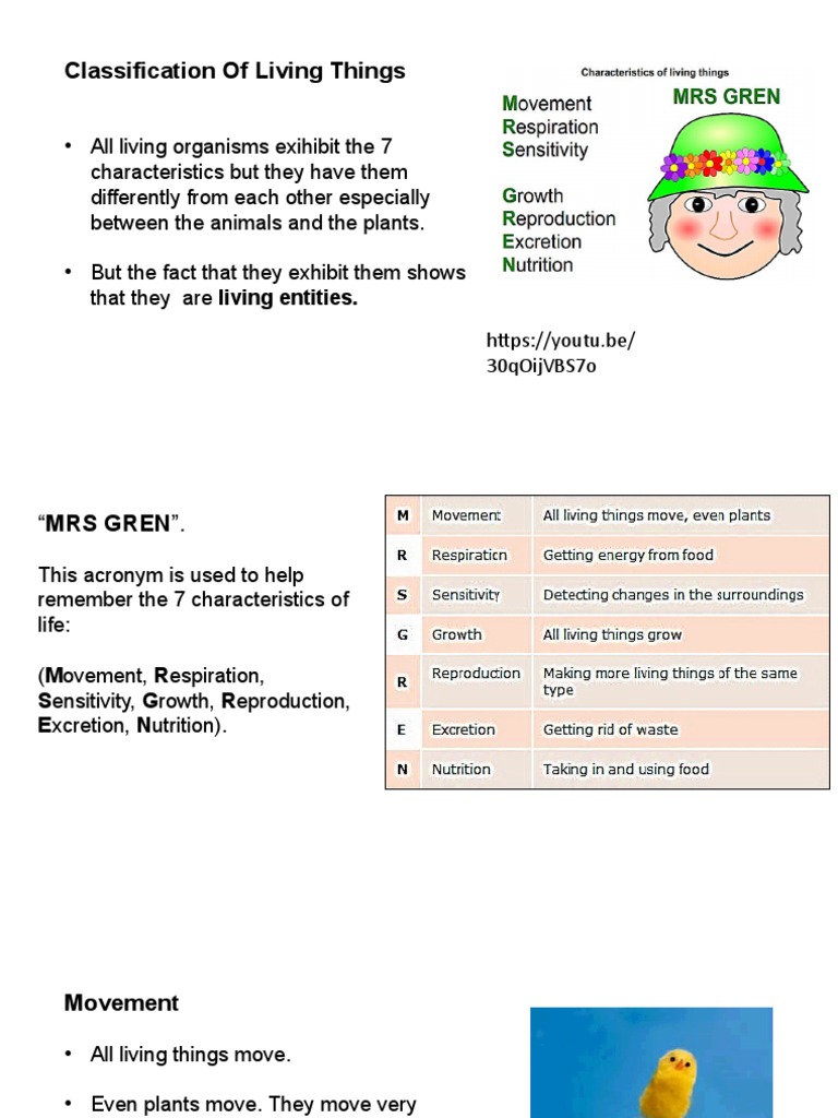 7 Characteristics of Living Things Explained | PDF | Foods | Plants