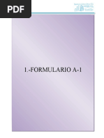 FORMULARIO Llenado C2 | PDF
