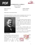 Células de Merkel: Función y Estructura | PDF | Anatomía | Biología Celular