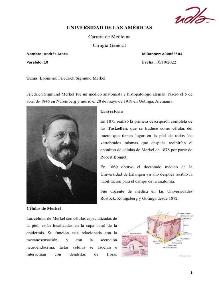 Epónimo Andrés Aroca | PDF | Neoplasias | Piel