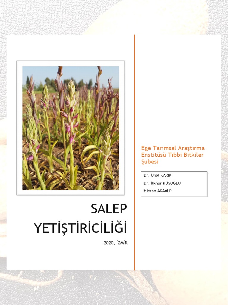 Salep Yetiştiriciliği | PDF
