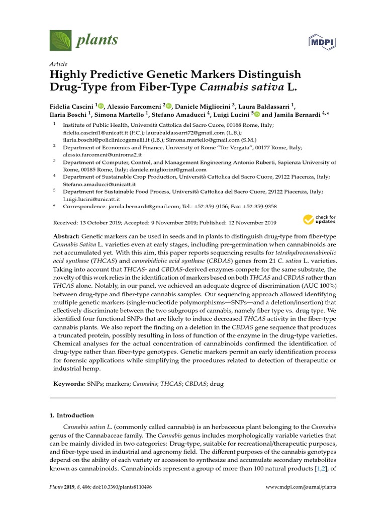 Highly Predictive Genetic Markers Distinguish Drug-Type From Fiber-Type ...