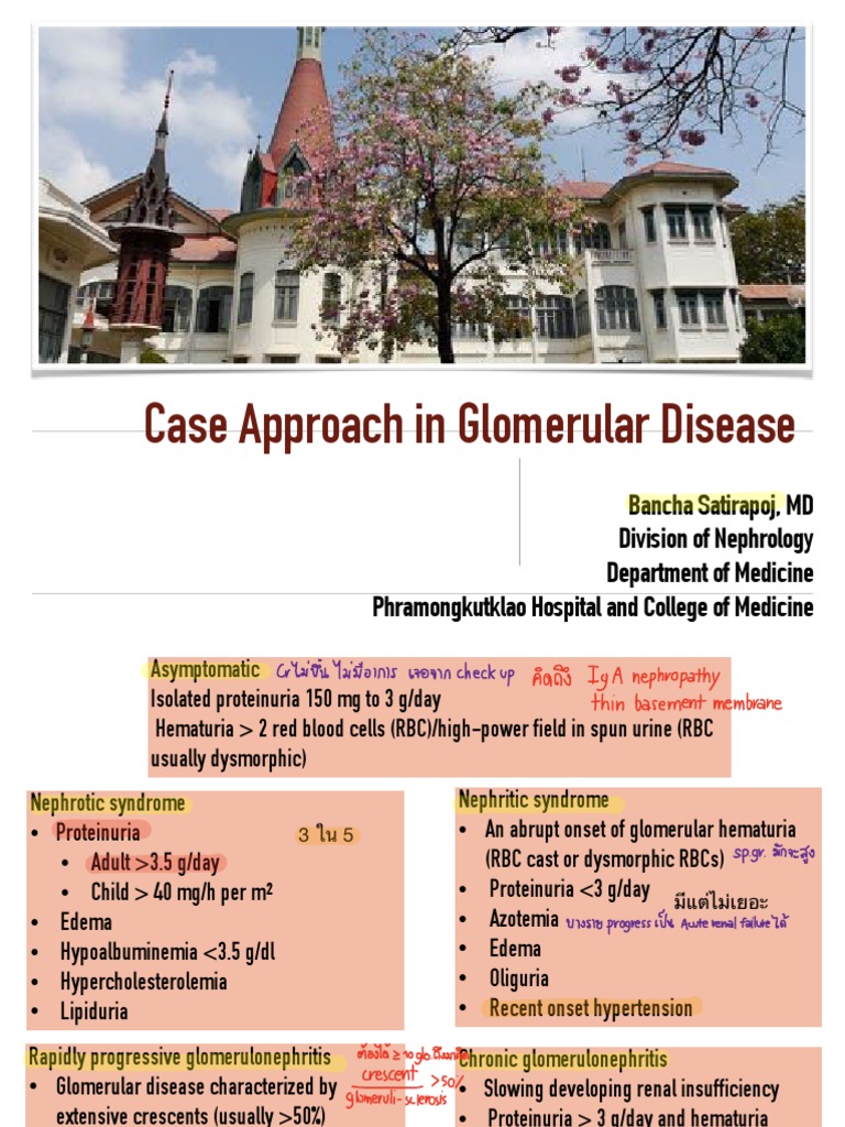 อ.บัญชา Glomerular - disease - handoutพี่ดาว | PDF | Kidney Disease ...