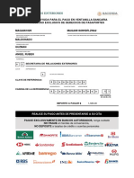 E5CINCO Formato Opcion 1 | PDF