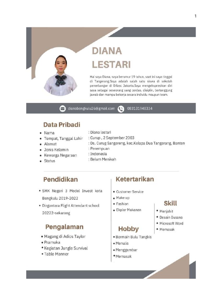 Diana Lestari CV Lengkap | PDF