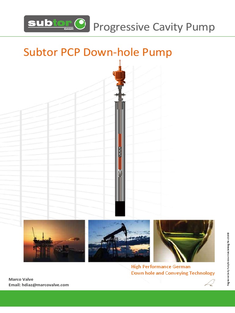 Subtor PCP Down-hole Pump Overview | PDF | Pump | Electric Motor