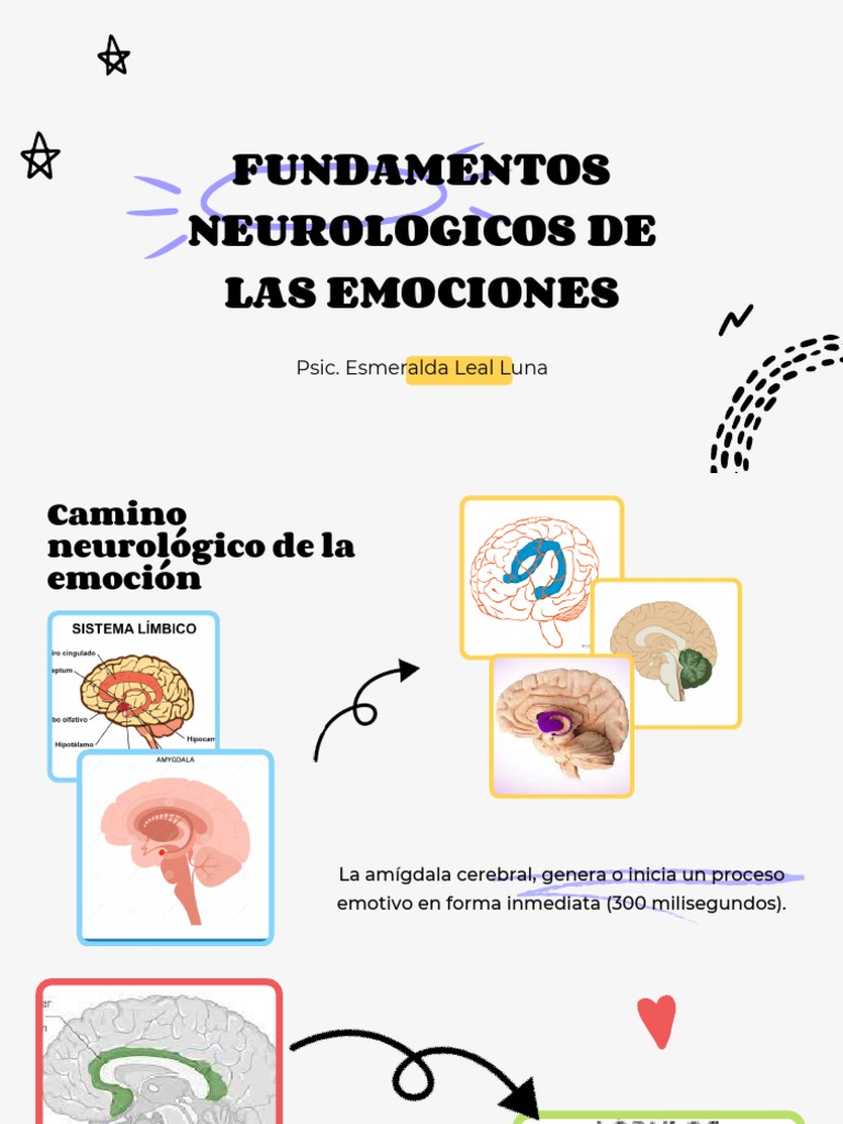 Fundamentos Neurológicos De Las Emociones Pdf Las Emociones Cerebro
