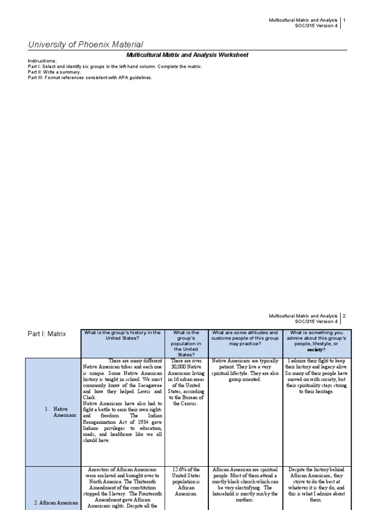 SOC315 r4 Multicultural Matrix and Analysis Worksheet | PDF | Native Americans In The United ...