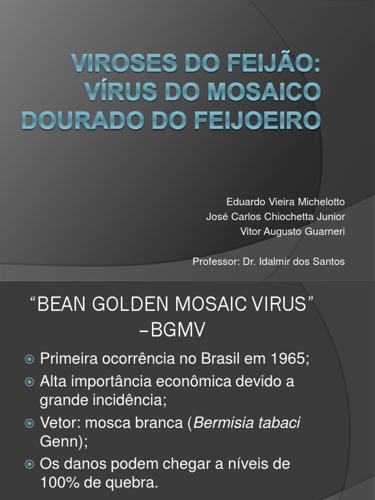 Controle do Vírus BGMV em Feijoeiros | PDF | Vírus
