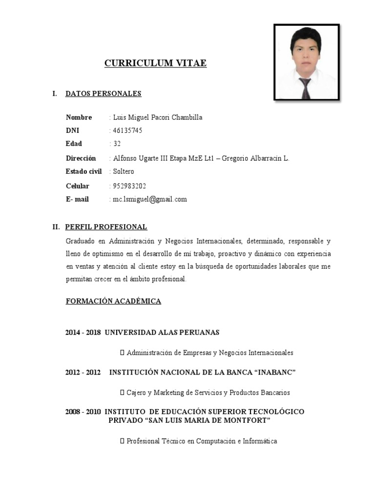 CURRICULUMVITAE | PDF | Perú | Bancos
