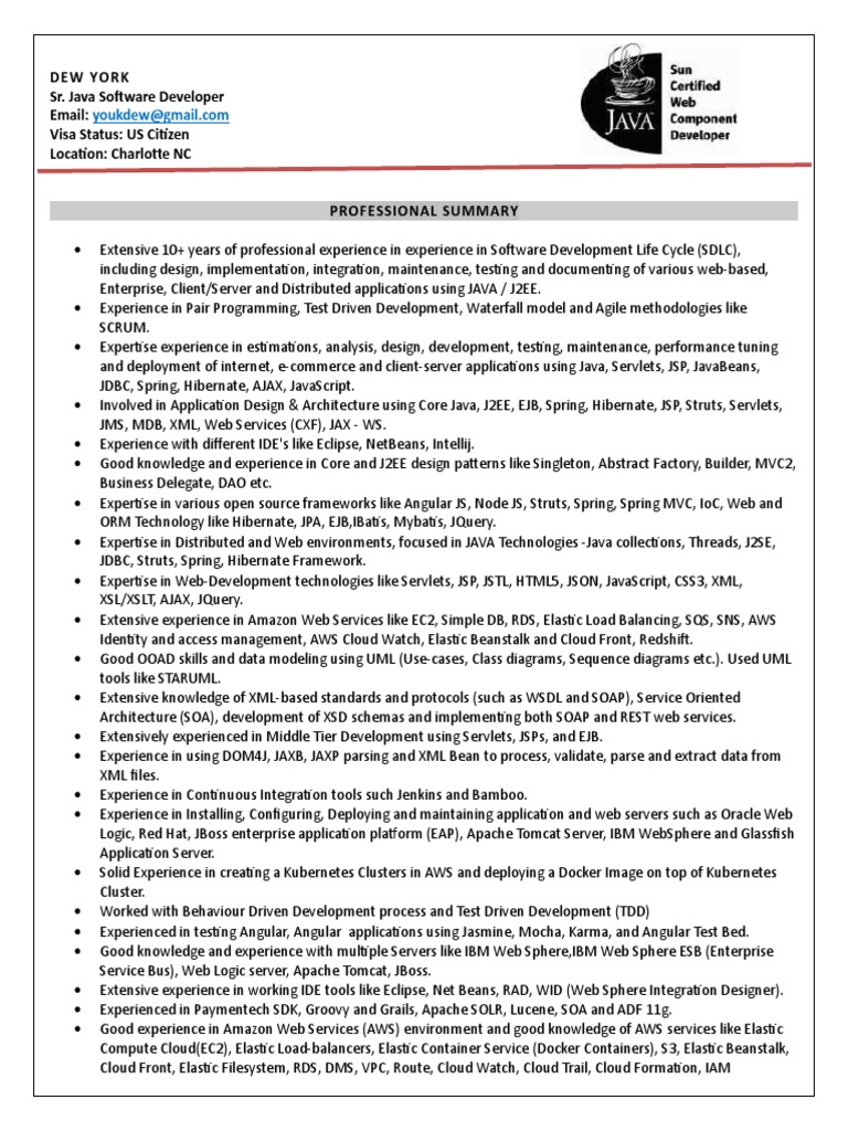 Dew Y Java Software Developer | Download Free PDF | Spring Framework | Web Service