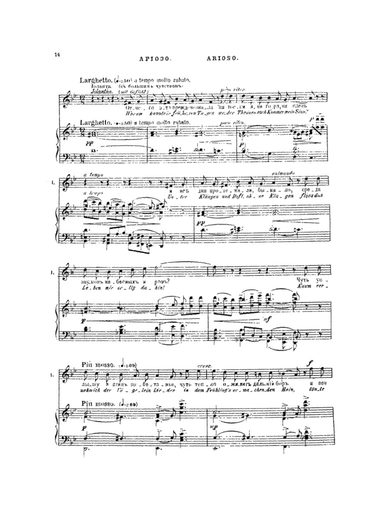 Iolanta Taneyev | PDF