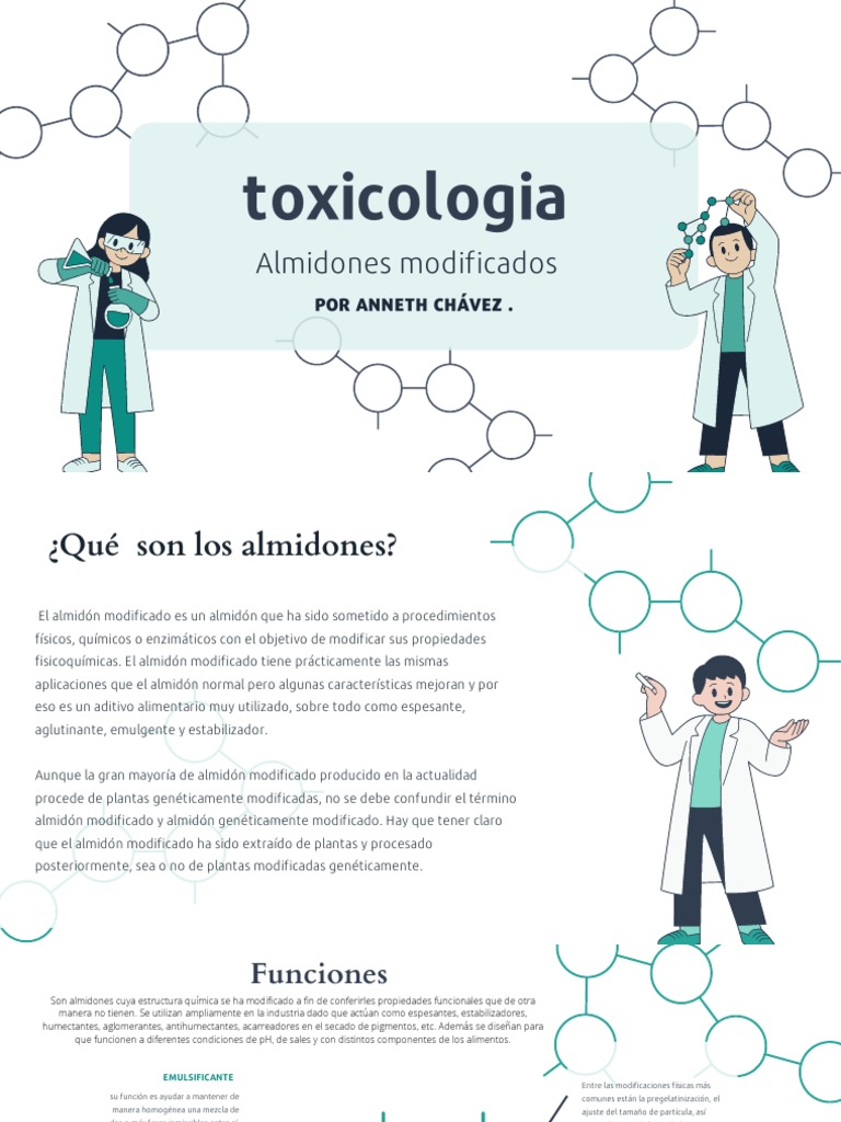 Almidones | PDF | Alimentos | Almidón