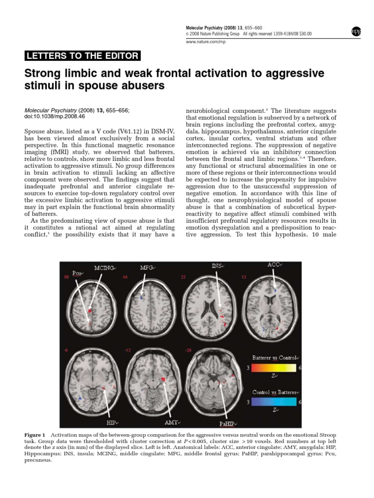 Strong Limbic And Weak Frontal Activation To Aggressive Stimuli In