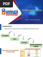 Processo de Produção de Feno | PDF | Feno | Agricultura