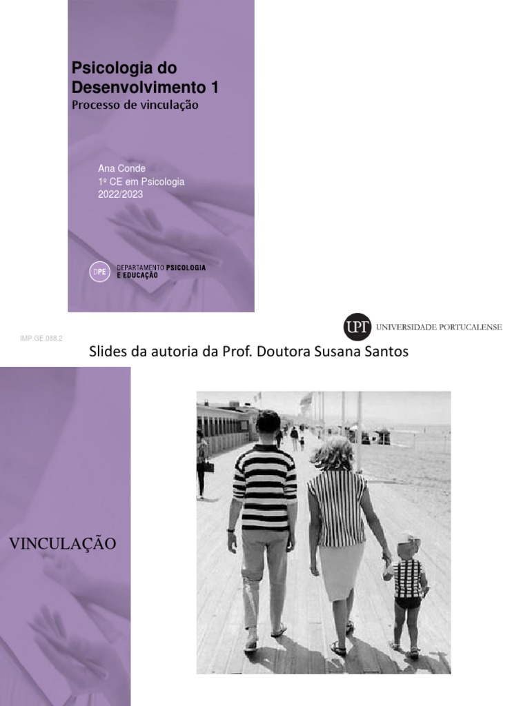 CP5 - Processo Vinculação 22-23 | PDF | Emoções | Psicologia