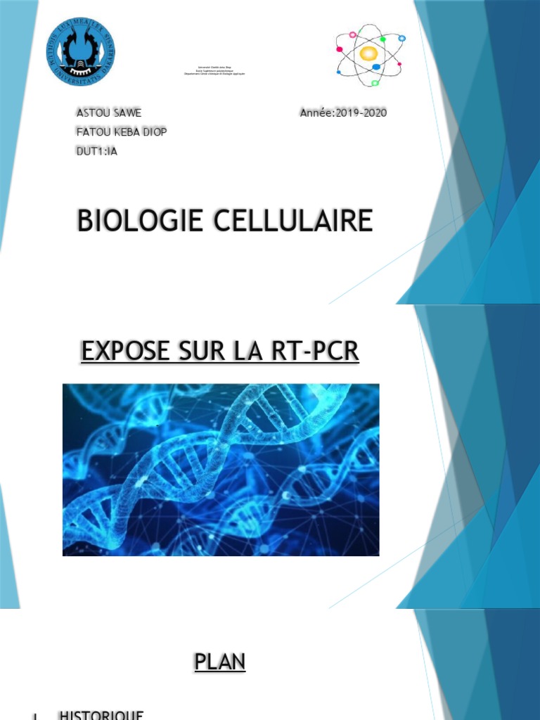 La RT PCR | PDF | Réaction en chaîne par polymérase | Expression génétique