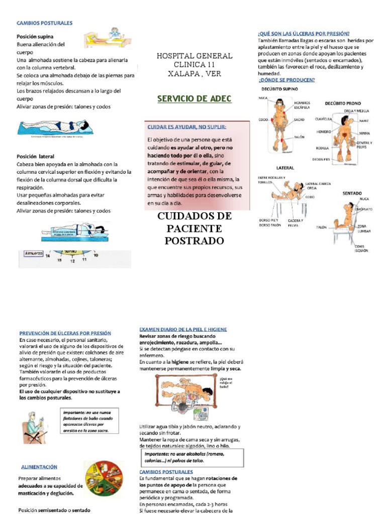 Triptico Paciente Postrado | PDF