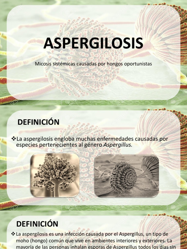 Aspergilosis: Infección y Tratamiento | PDF | Aspergilo | Alergia