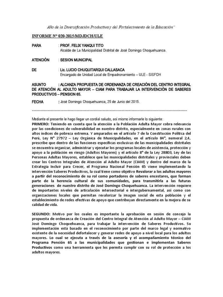 Informe Ciam 2015 | PDF