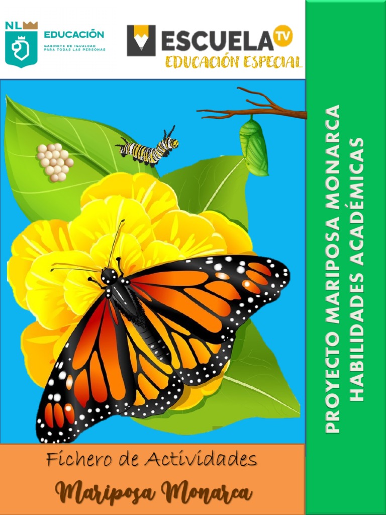 Proyecto Mariposa Monarca | PDF | Mariposa | Crisálida