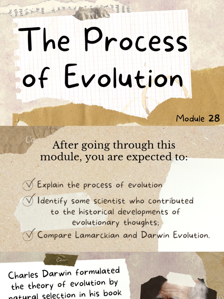 Evolutionary Processes Explained | PDF | Evolution | Natural Selection