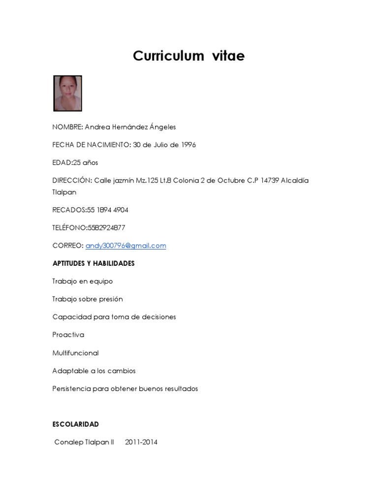 Currículum Vitae Andy | PDF