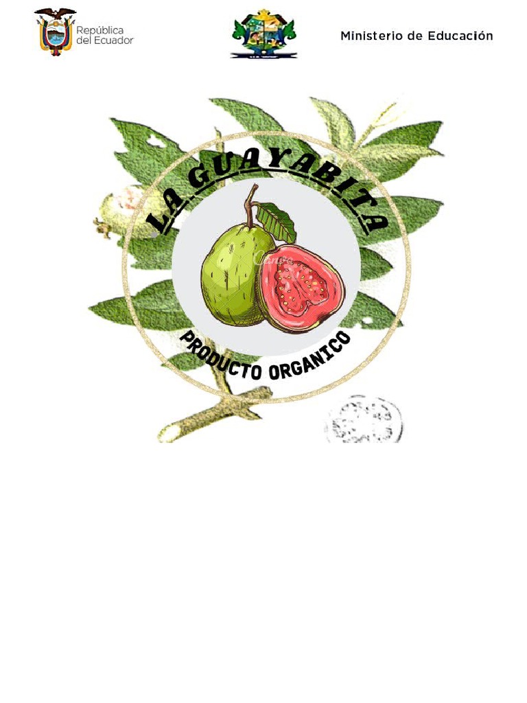 La Guayabita | PDF | Iniciativa empresarial | Publicidad