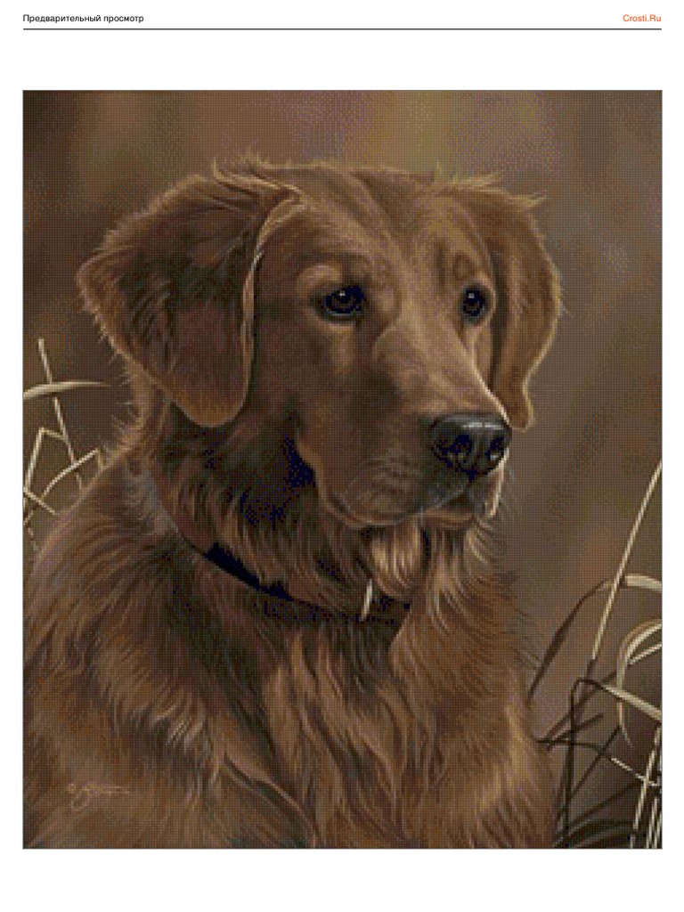 Castanho - Rocky | PDF