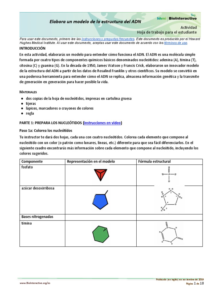Hoja de Trabajo para El Estudiante | PDF | Adn | Base par