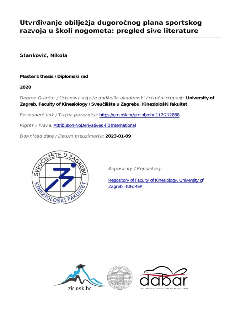 8276-Diplomski Rad Nikola Stankovic | PDF