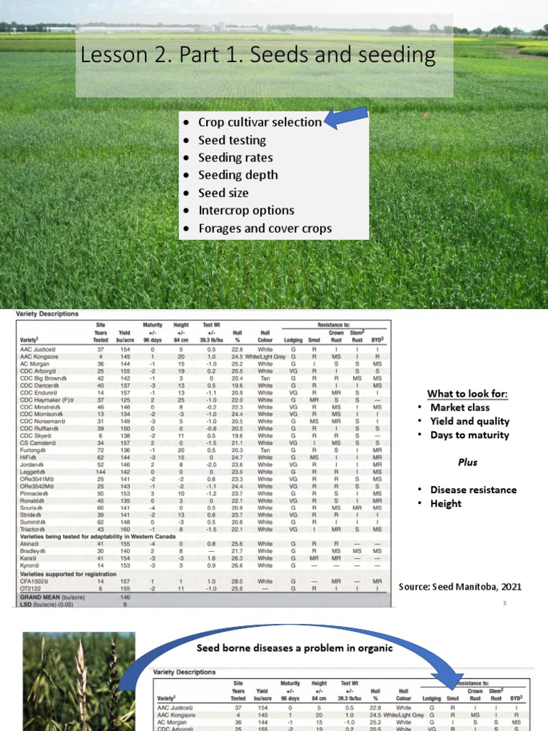 Module 2. Part 1. Seeds Presentation | Download Free PDF | Wheat | Crop ...