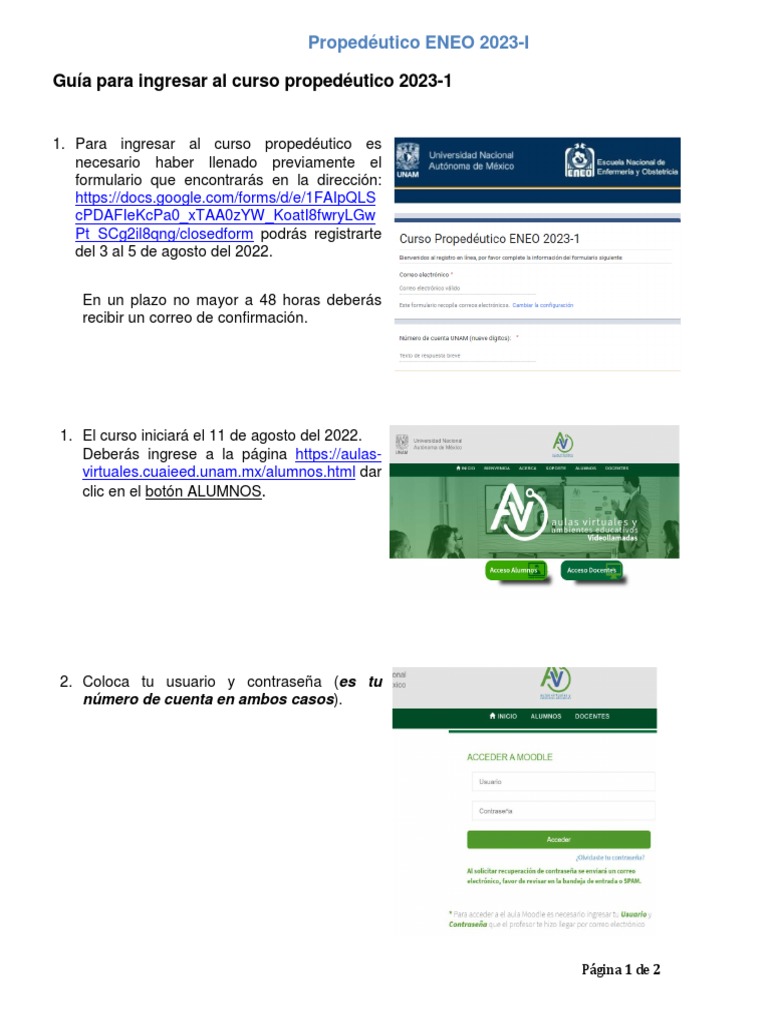 Guía para Ingresar A Curso Propedeutico 2023 | PDF